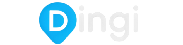 Dingi – Empowering Automobile Businesses